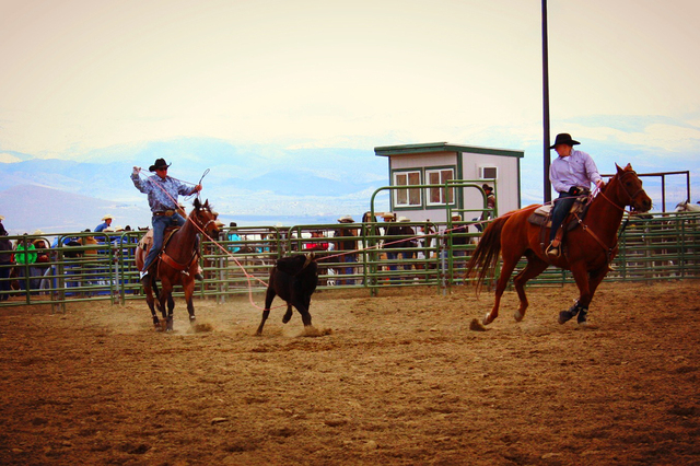 High school rodeo cowboy takes it to the next level | Pahrump Valley Times