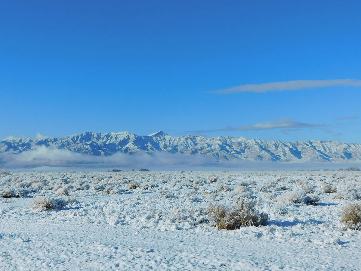 Winter weather leaves Pahrump blanketed in snow | Pahrump Valley Times