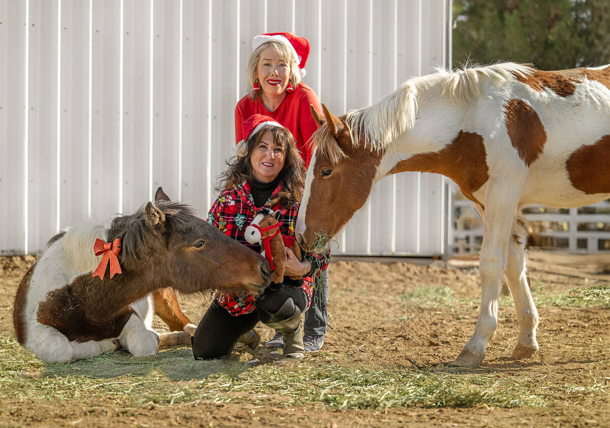 Wild horses return to Pahrump Valley for the holidays | Pahrump Valley ...