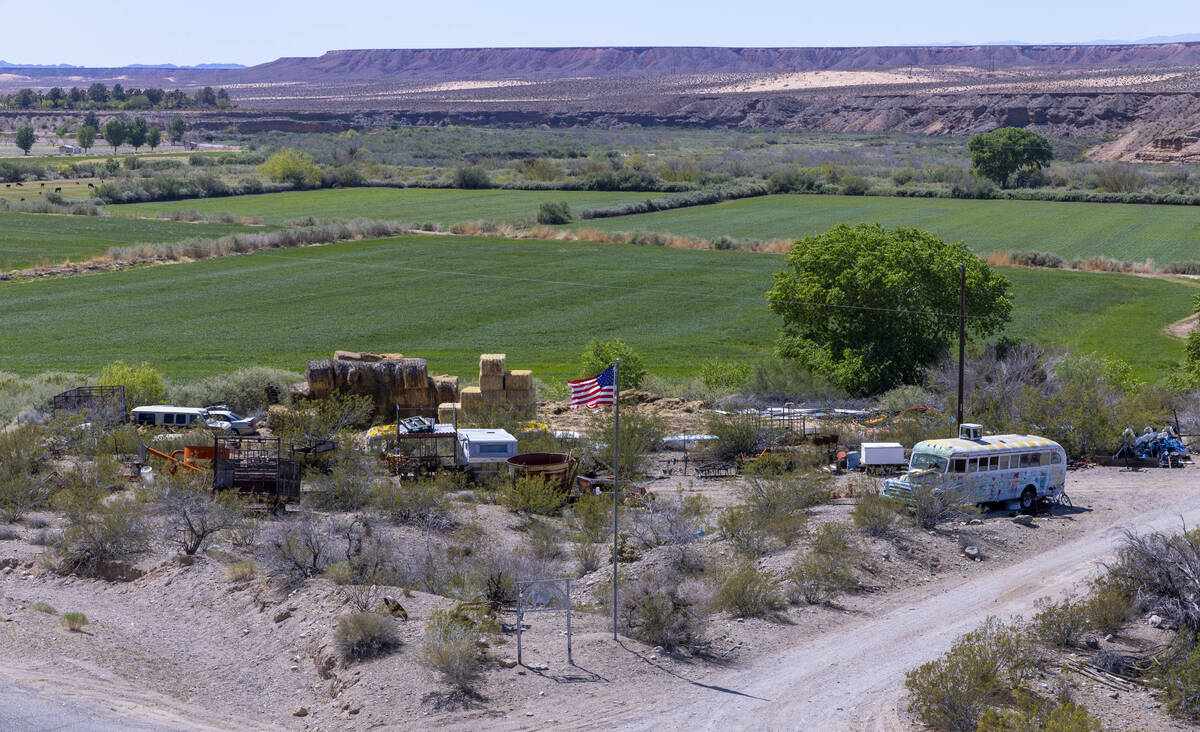 Bundys and supporters mark 11-year anniversary of standoff | Pahrump ...