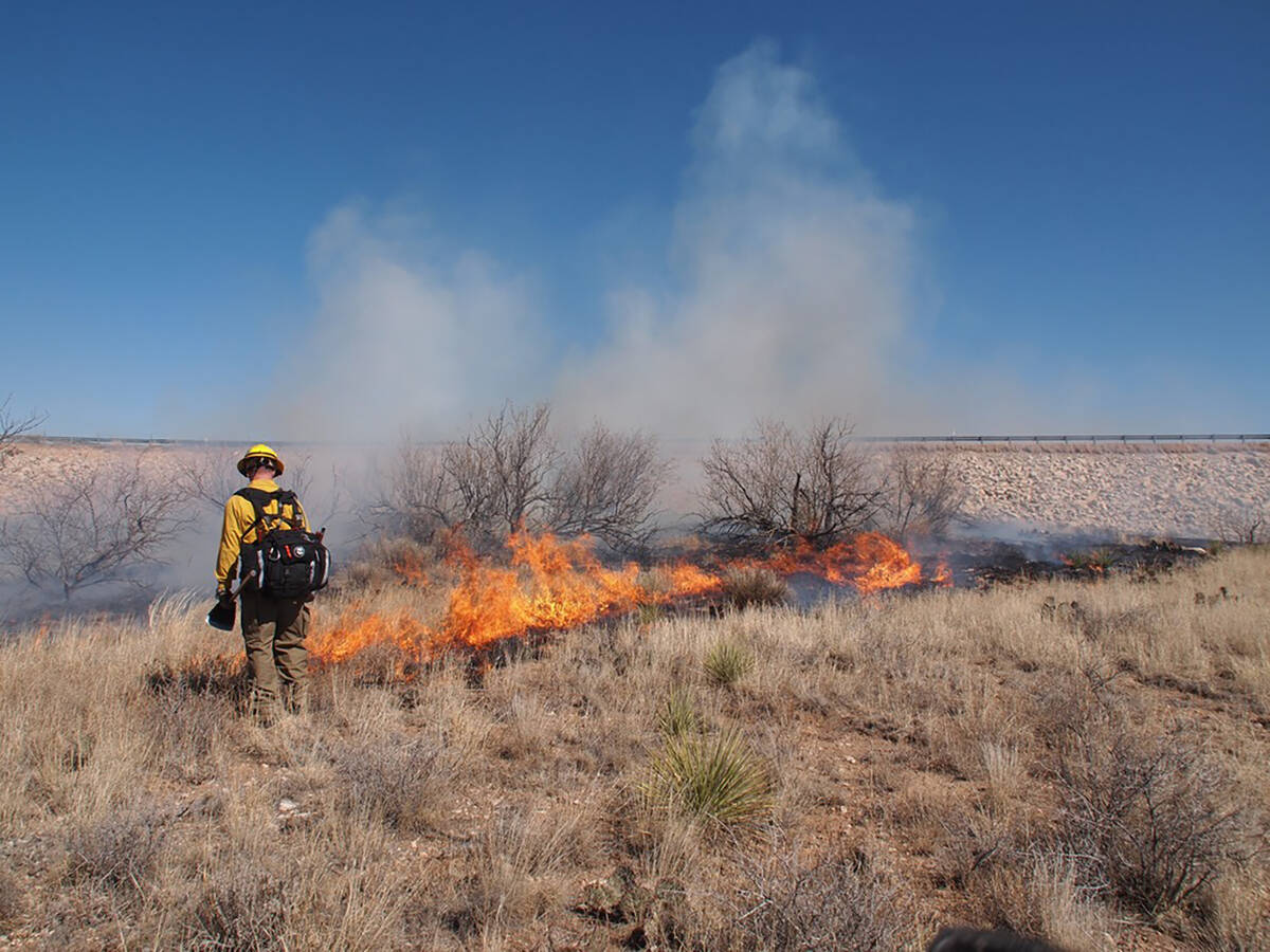 Humboldt-Toiyabe National Forest controlled fires near Pahrump, Nevada ...